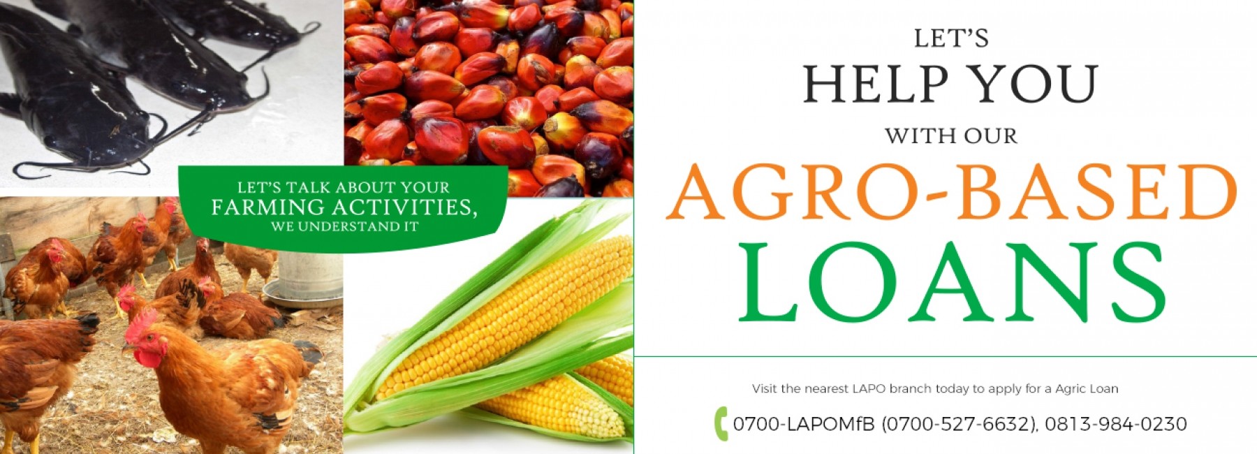 LAPO Microfinance Bank loans and all you need to know - MakeMoney.ng