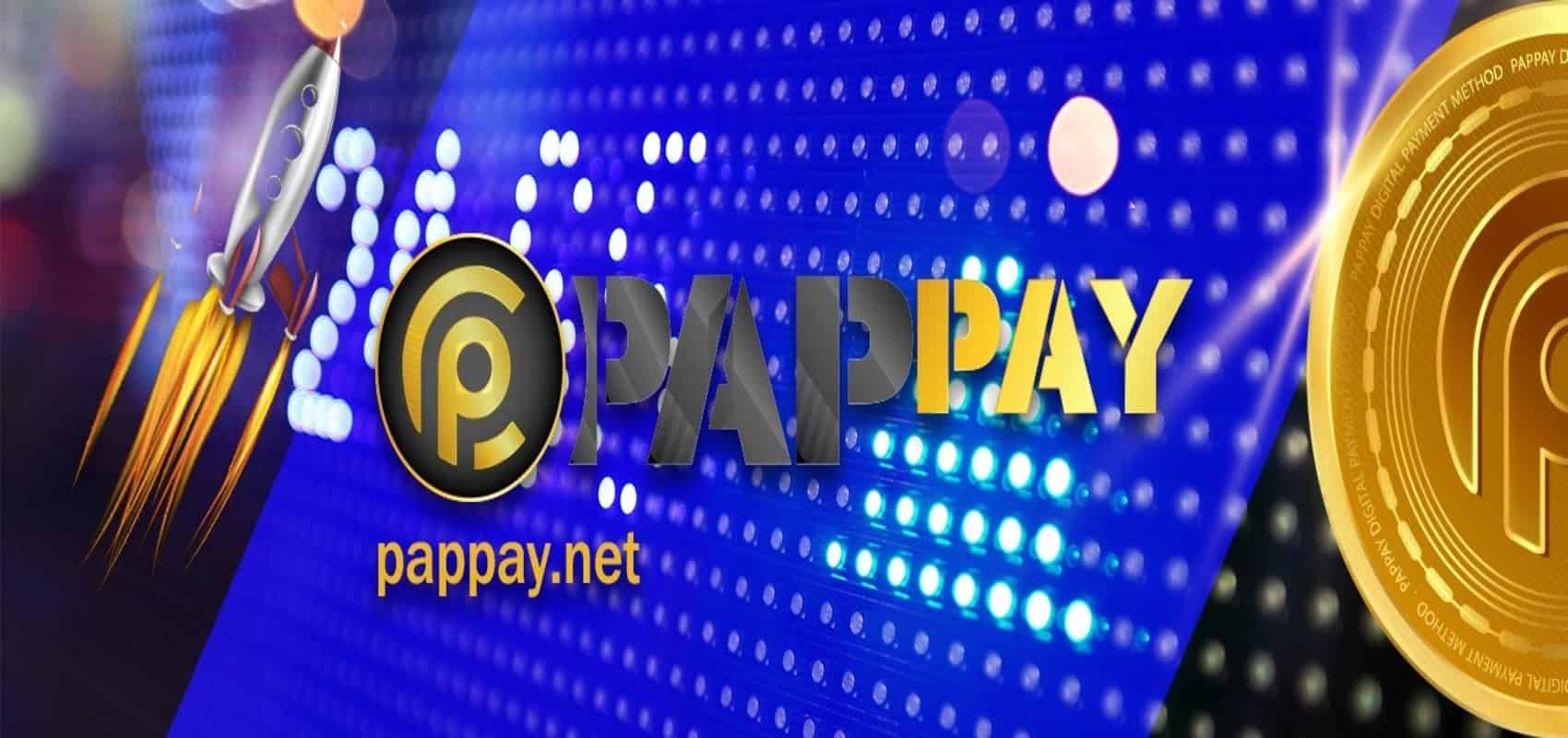 PAPPAY: What is it? Is it a good investment? - MakeMoney.ng
