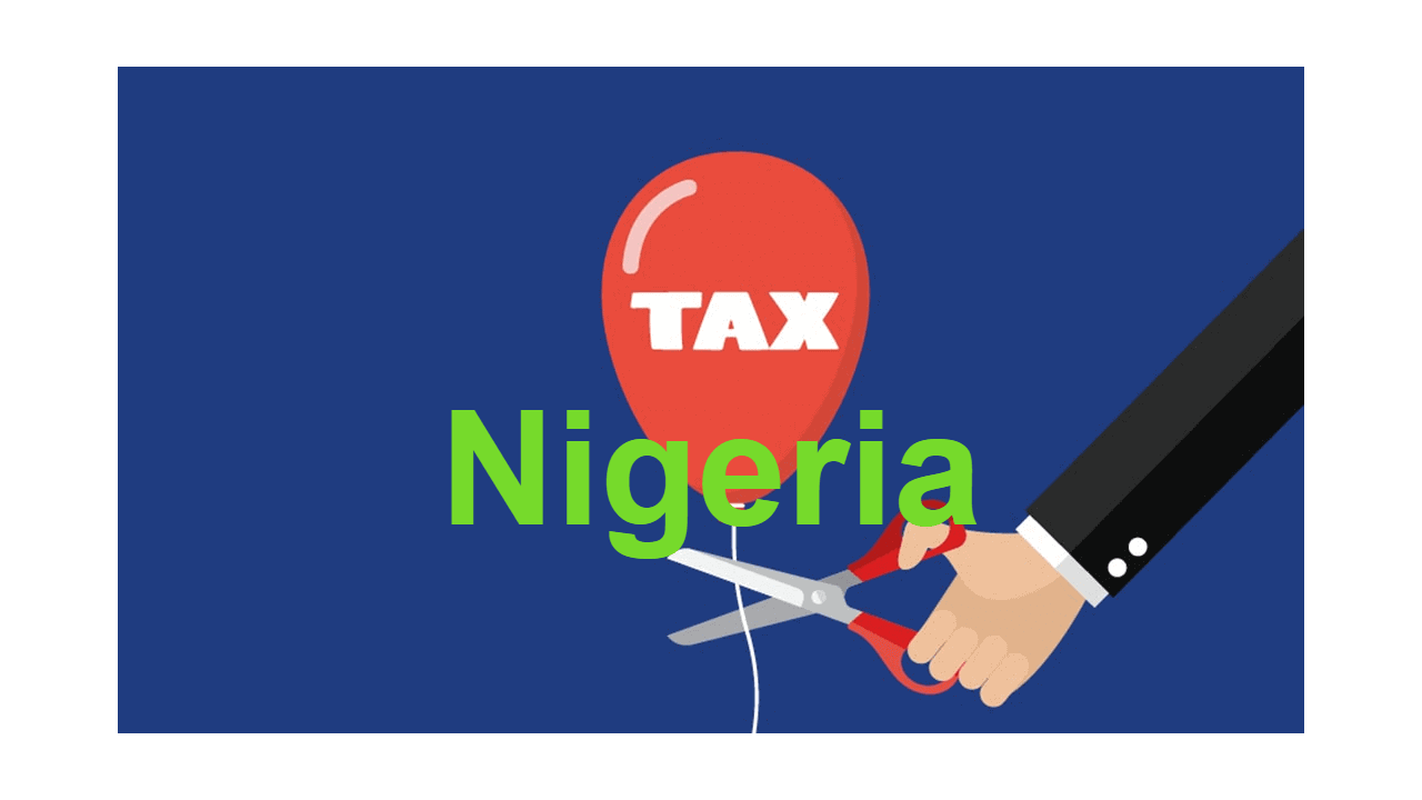 Types of taxes in Nigeria for businesses - MakeMoney.ng