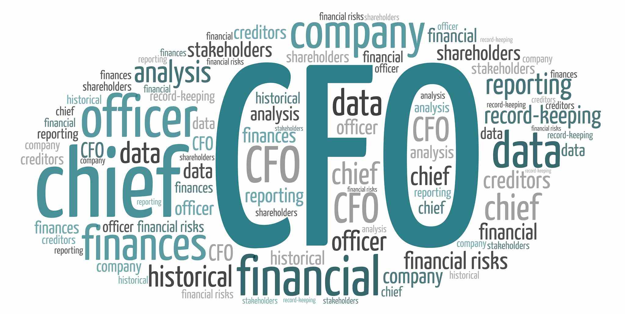 Chief Financial Officer (CFO): Meaning, responsibilities, and more - MakeMoney.ng